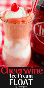 Cheerwine Float - My Forking Life