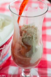 Cheerwine Float - My Forking Life