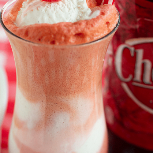 Cheerwine Float - My Forking Life