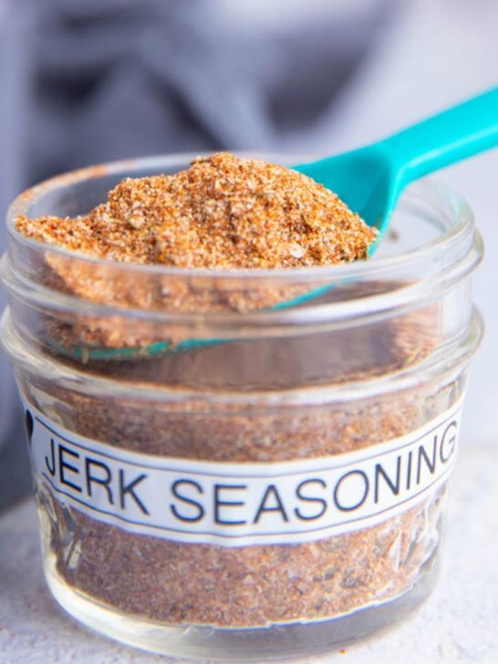 French Fry Seasoning (DIY Seasoning Blend) - My Forking Life