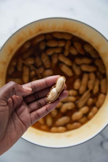 Classic Southern Boiled Peanuts Recipe - My Forking Life