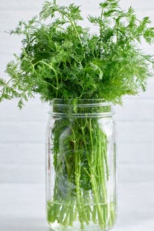 How to Store Fresh Herbs - My Forking Life