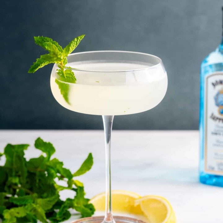 Southside Cocktail Recipe (Classic Gin Cocktail) - My Forking Life