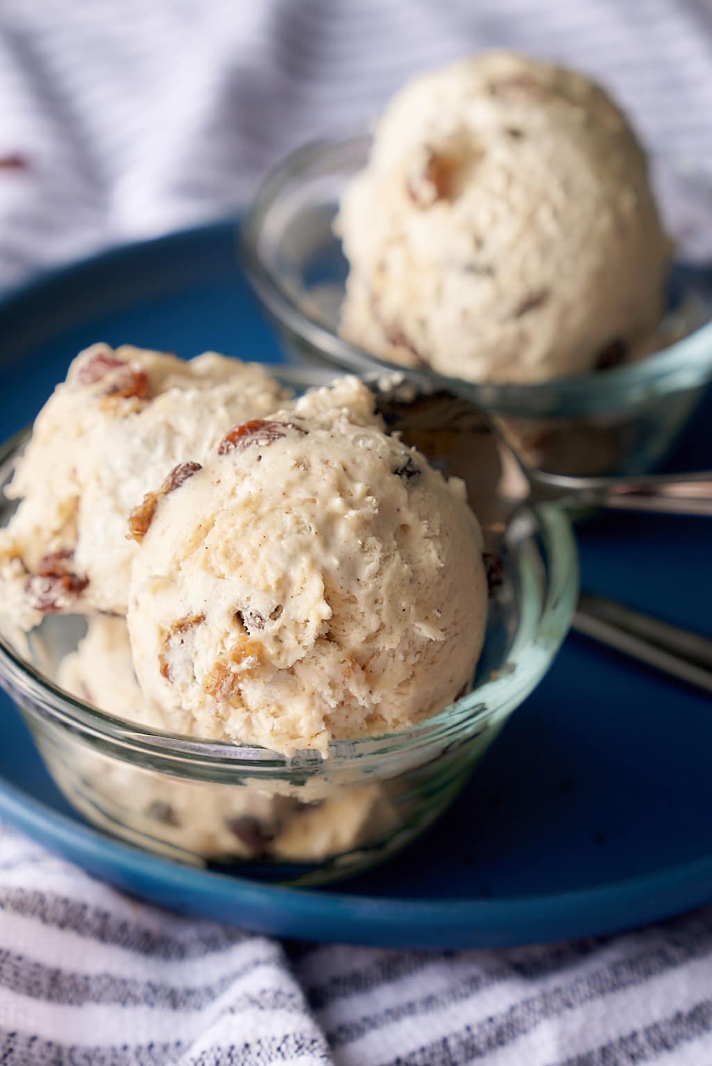 The Best Rum Raisin Ice Cream Recipe (No-Churn Method) - My Forking Life